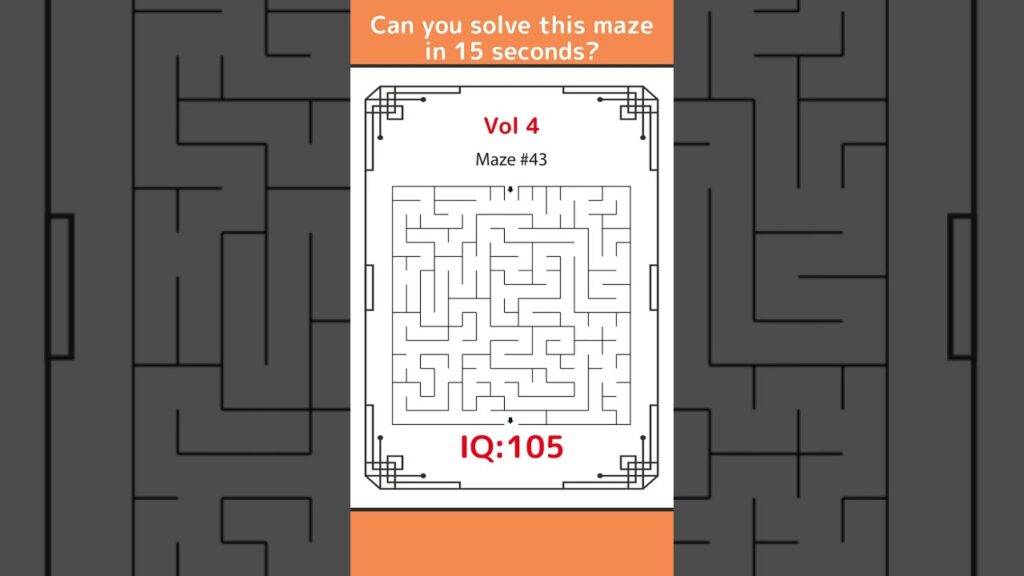 IQ105? Can you solve this Maze in 15 seconds? Vol4_43 | ポイ活攻略動画ブログ